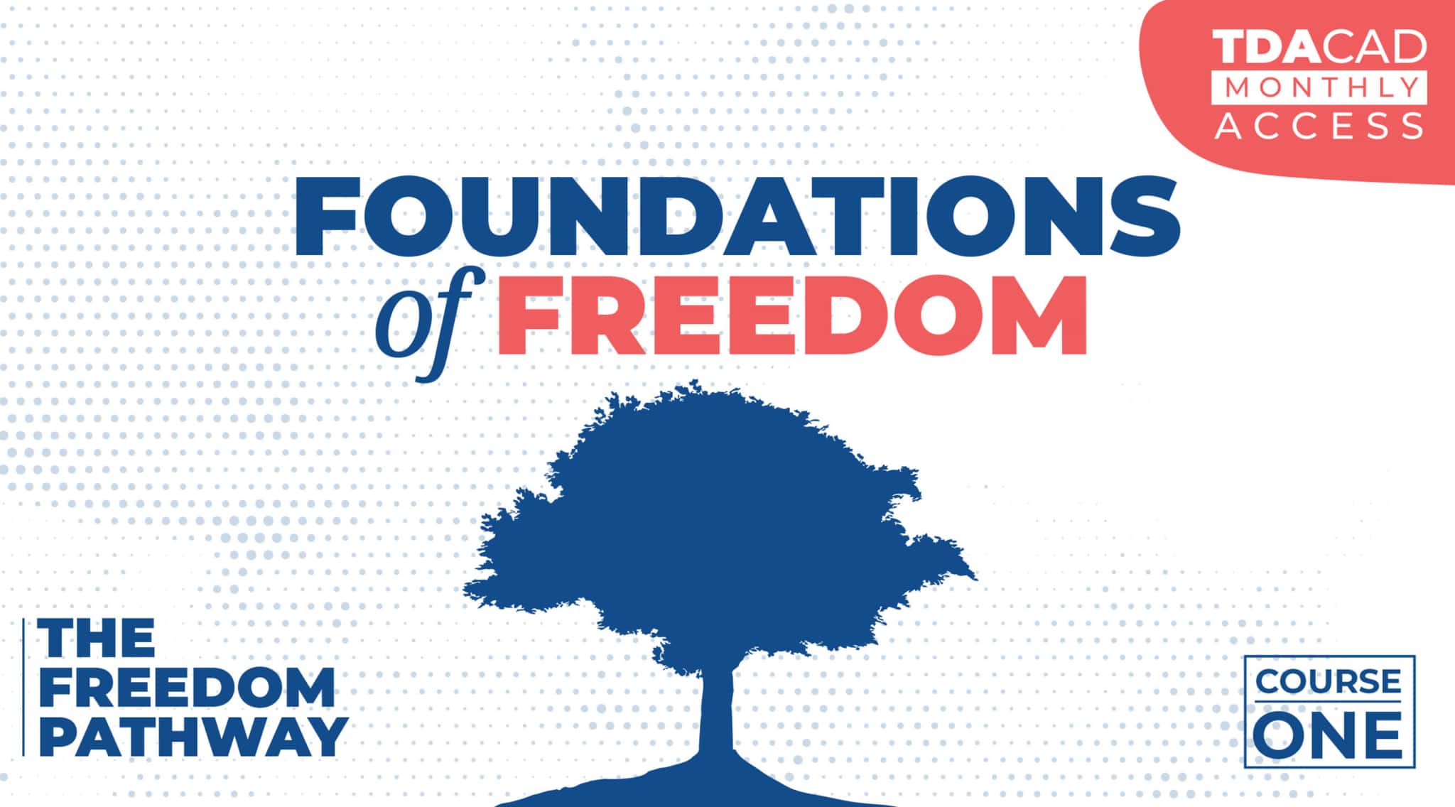 Think Differently Academy